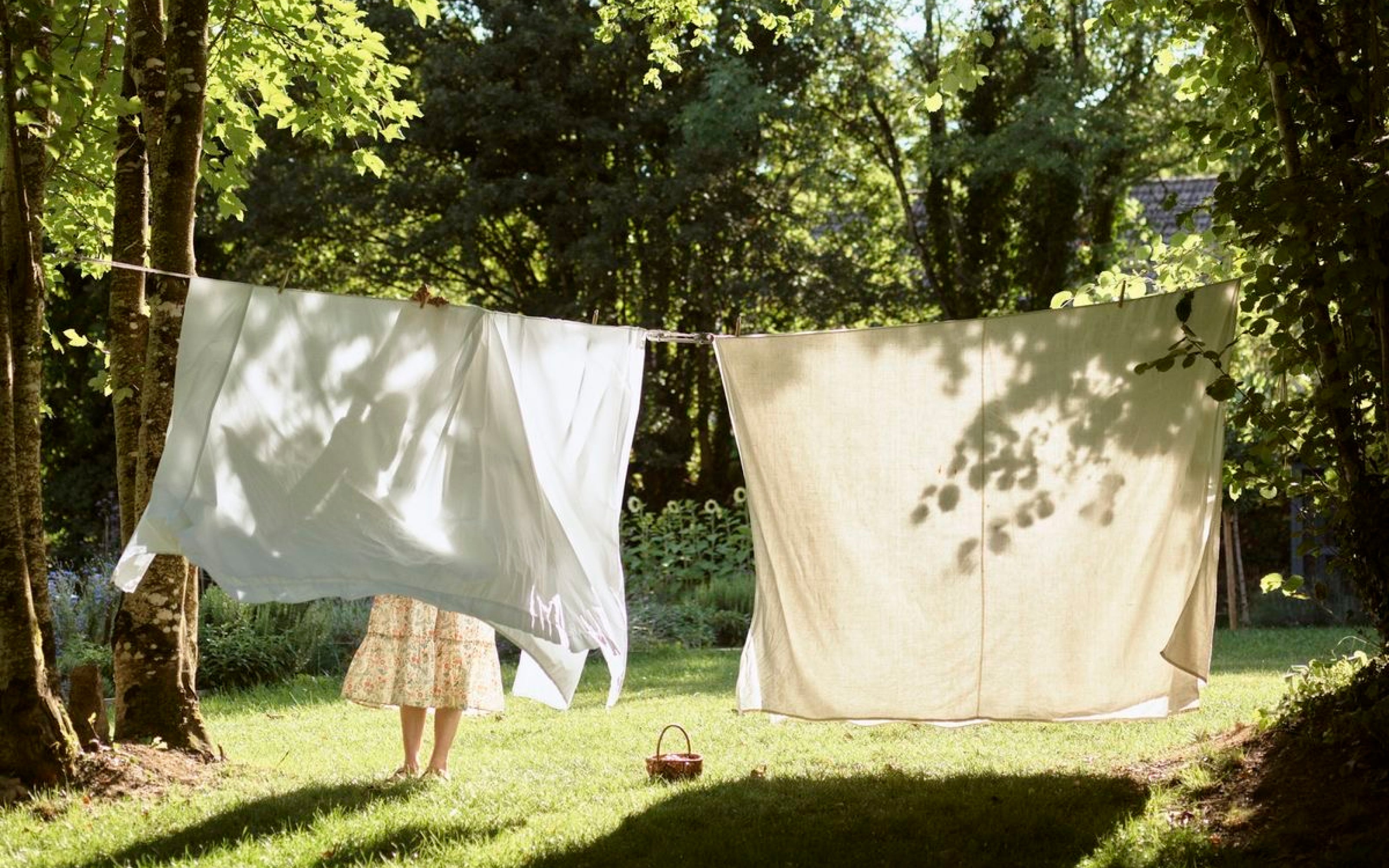 Our non toxic laundry guide – Organised