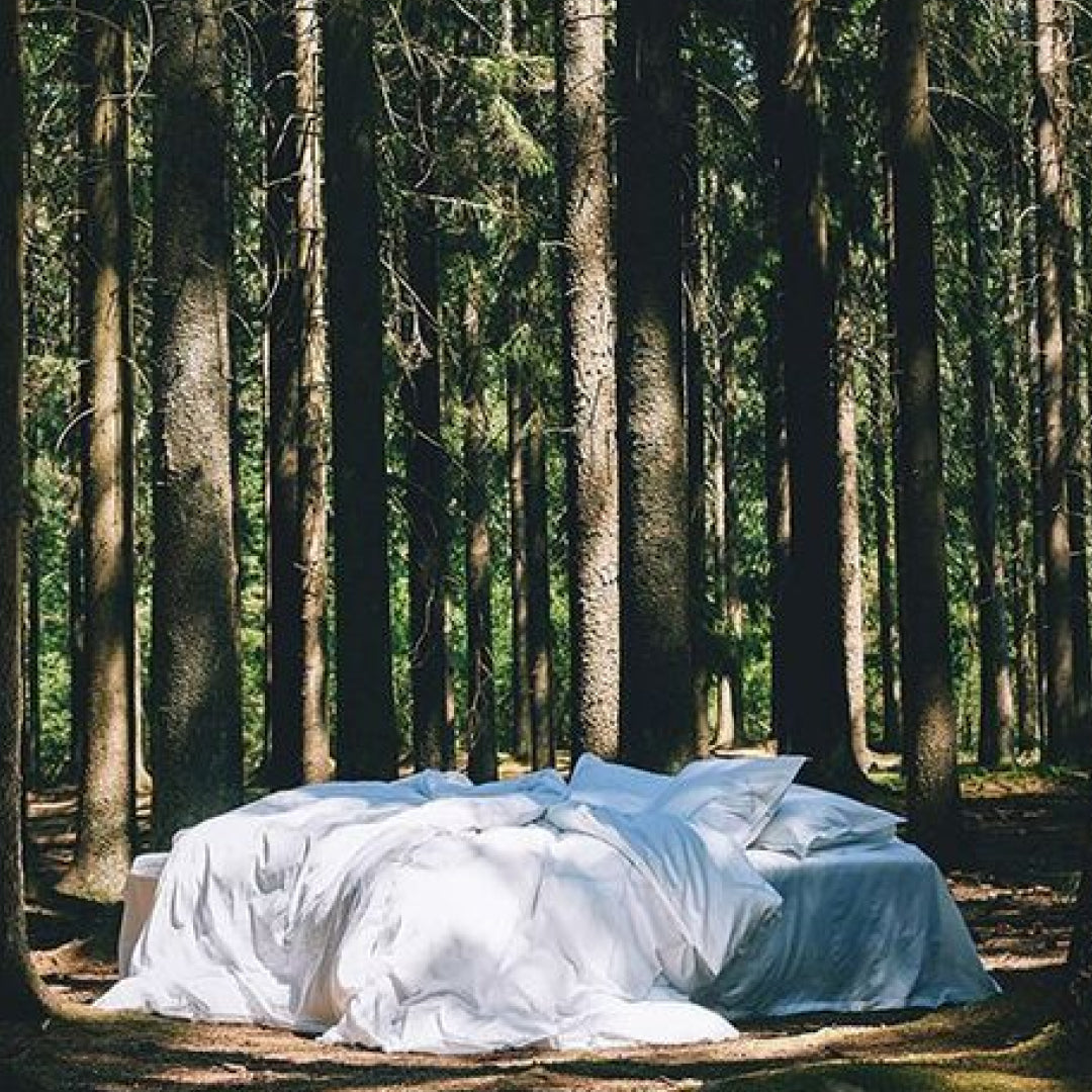 The art of restorative sleep – Organised